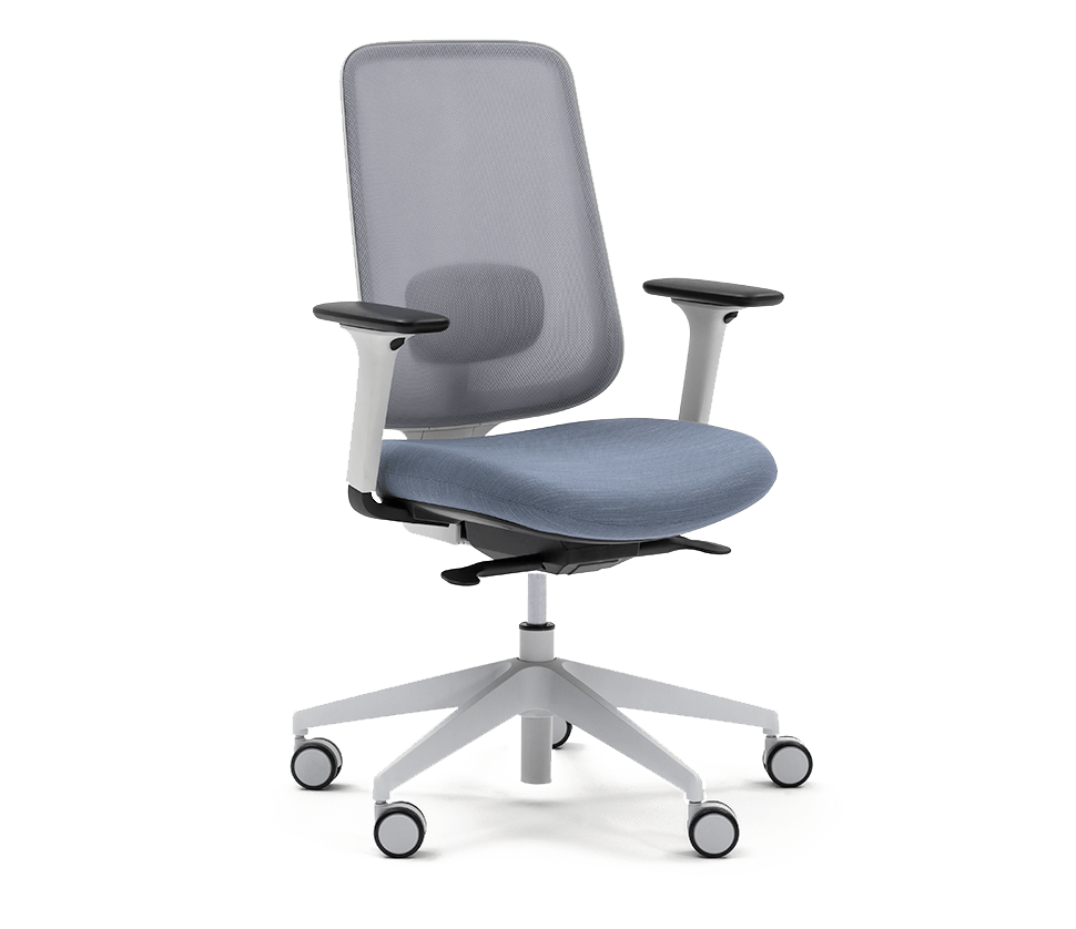 Home Office Desk Chairs - We are Slouch