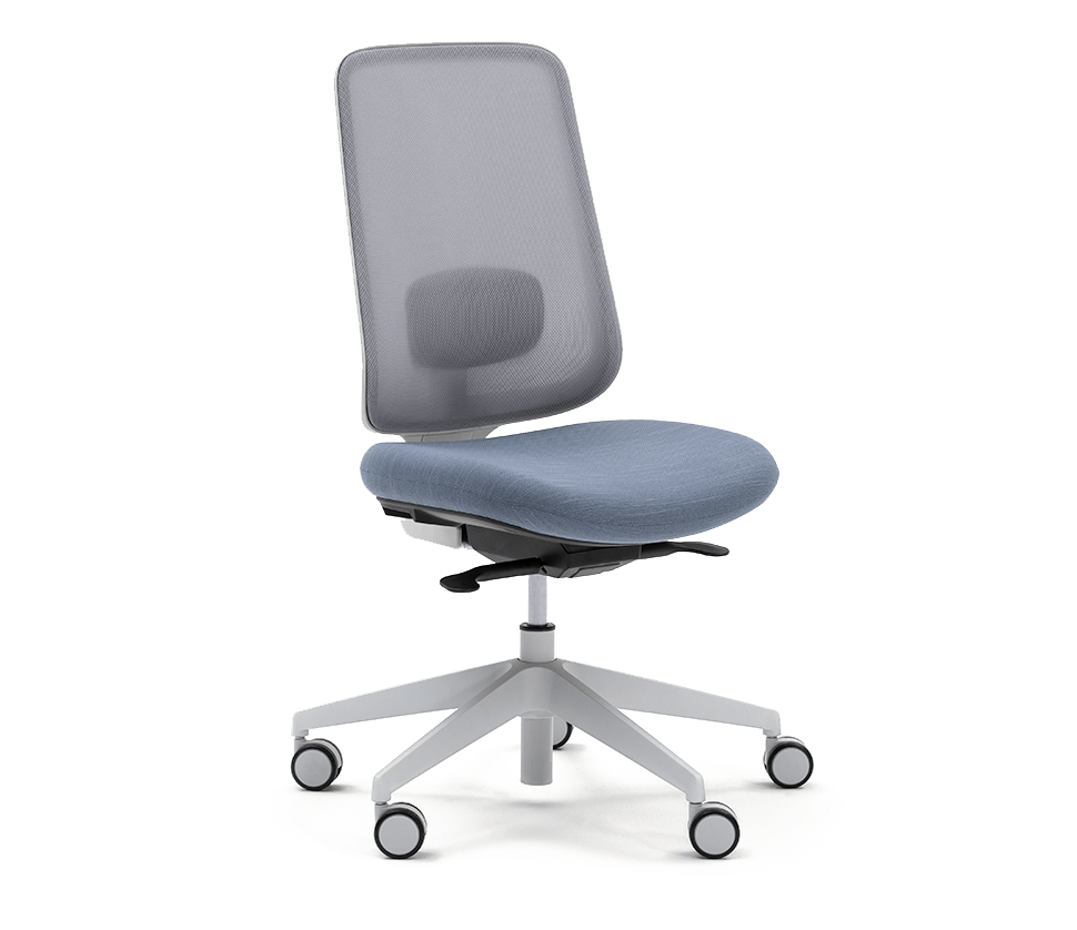 Home Office Desk Chairs - We are Slouch