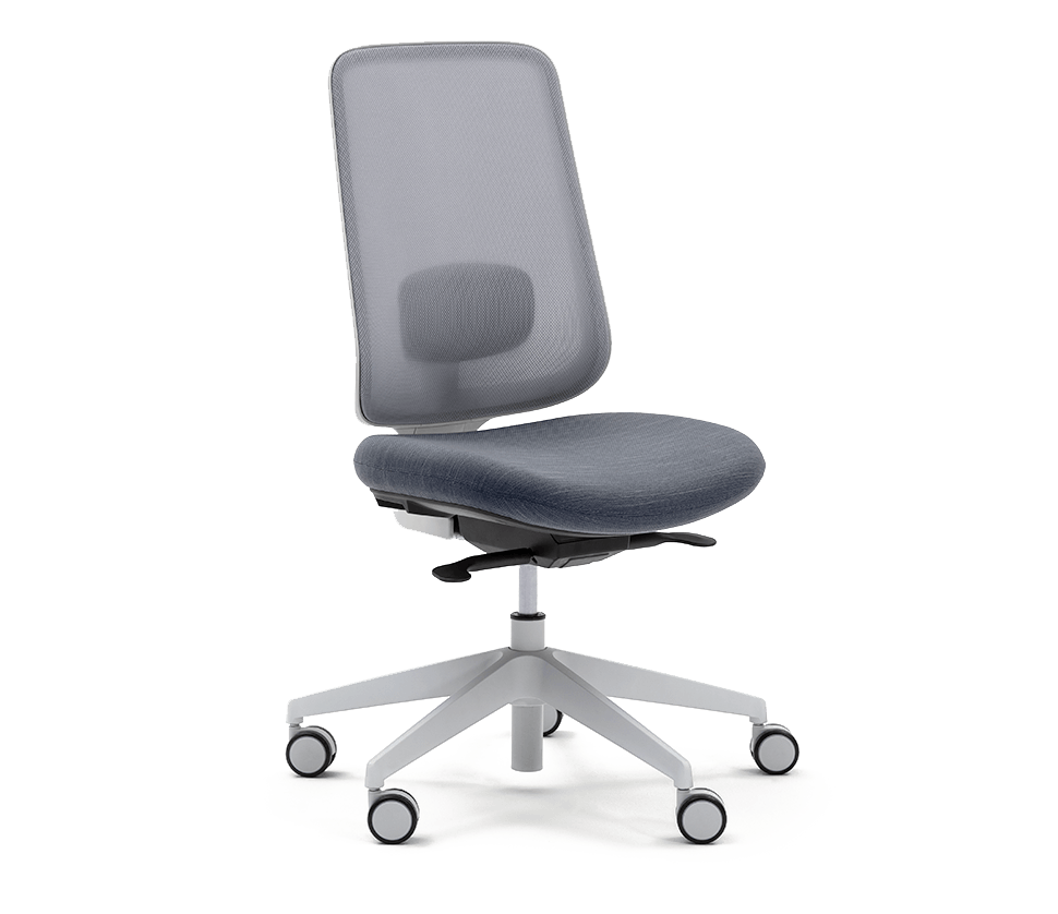 Home Office Desk Chairs - We are Slouch